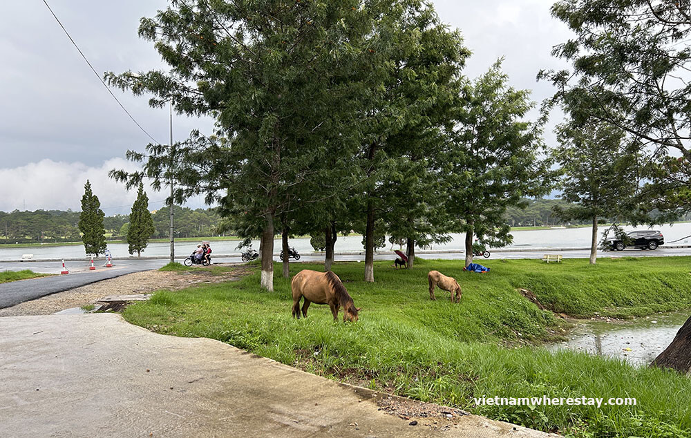 Vietnam in March: Best Places to See & Weather - VietnamWhereStay