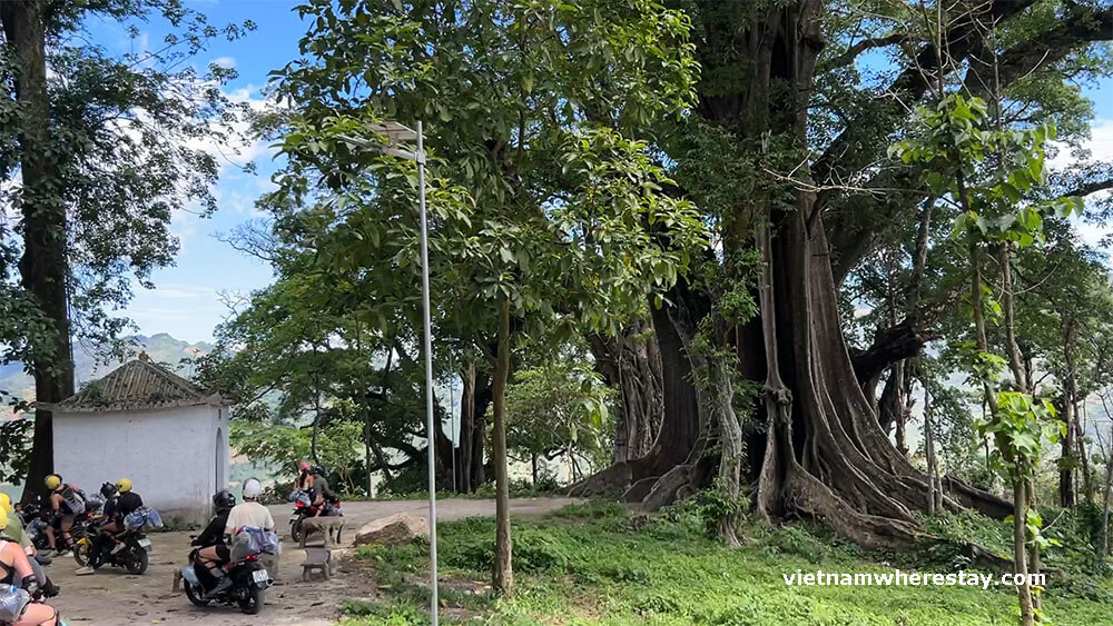 Ha Giang Loop - Is it worth it? 3 or 4 days Itinerary & Safety Guide ...